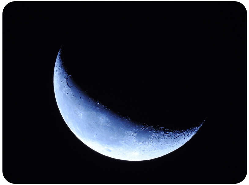 Pourquoi utiliser un monte charge